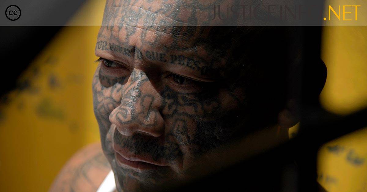 Gang stories : another way of looking at violence